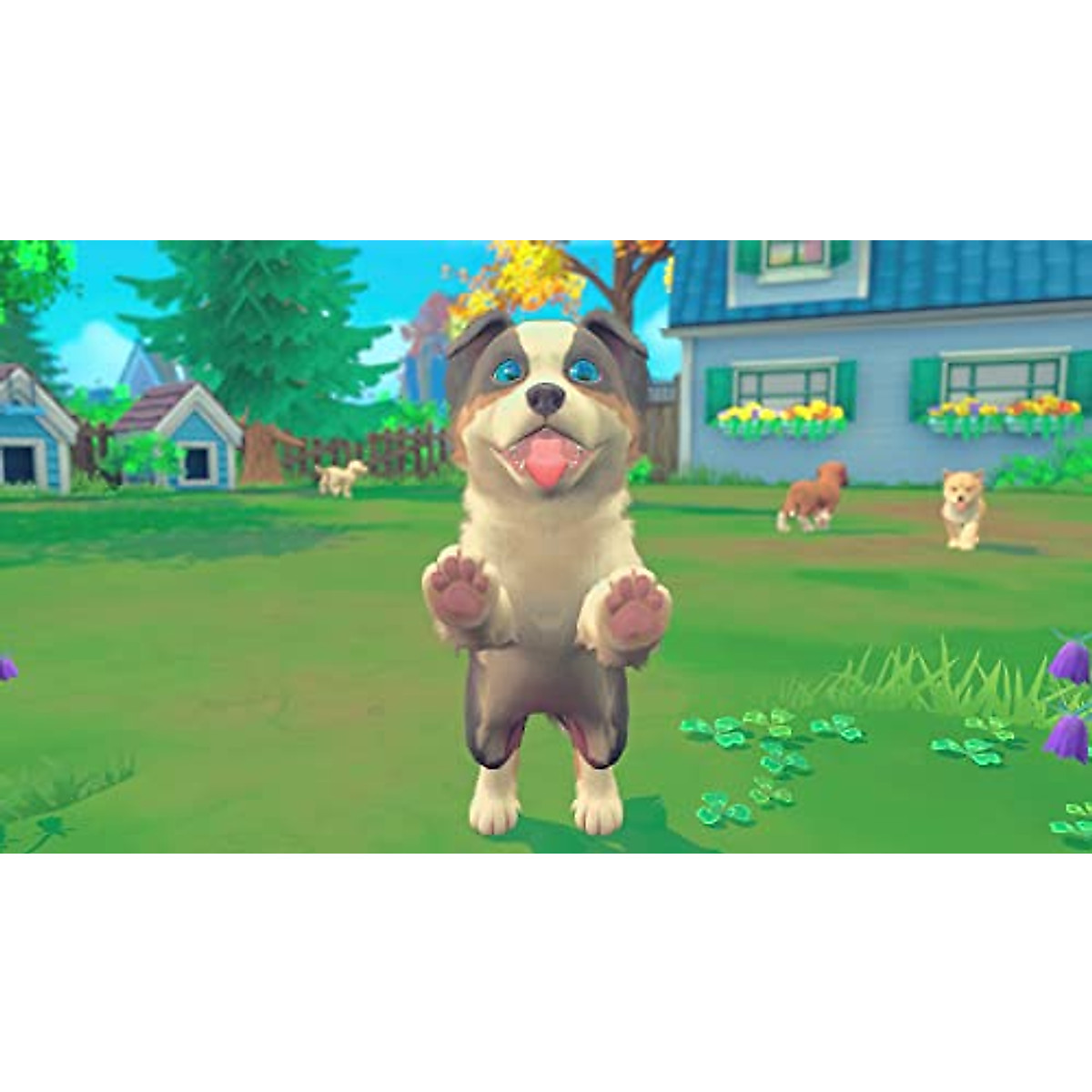 My Universe: Pets Edition (NSW)