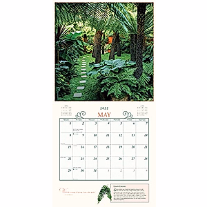 Secret Garden Wall Calendar 2022: A year of photographs that transport you to a garden sanctuary.