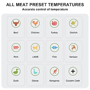 YONZHENG Bluetooth Wireless Meat Thermometer, 200ft Range Wireless Food Thermometer with App Meat Thermometer for Grilling Rotisserie Oven