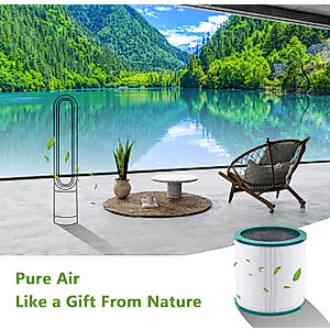 2 Pack,Air Purifier Filters Replacements,True HEPA Premium Grade Filters for Dyson Tower Purifier Pure Cool Link TP00,TP01,TP02,TP03,BP01,AM11 Models.Desk Purifier, Compare to Part # 968126-03
