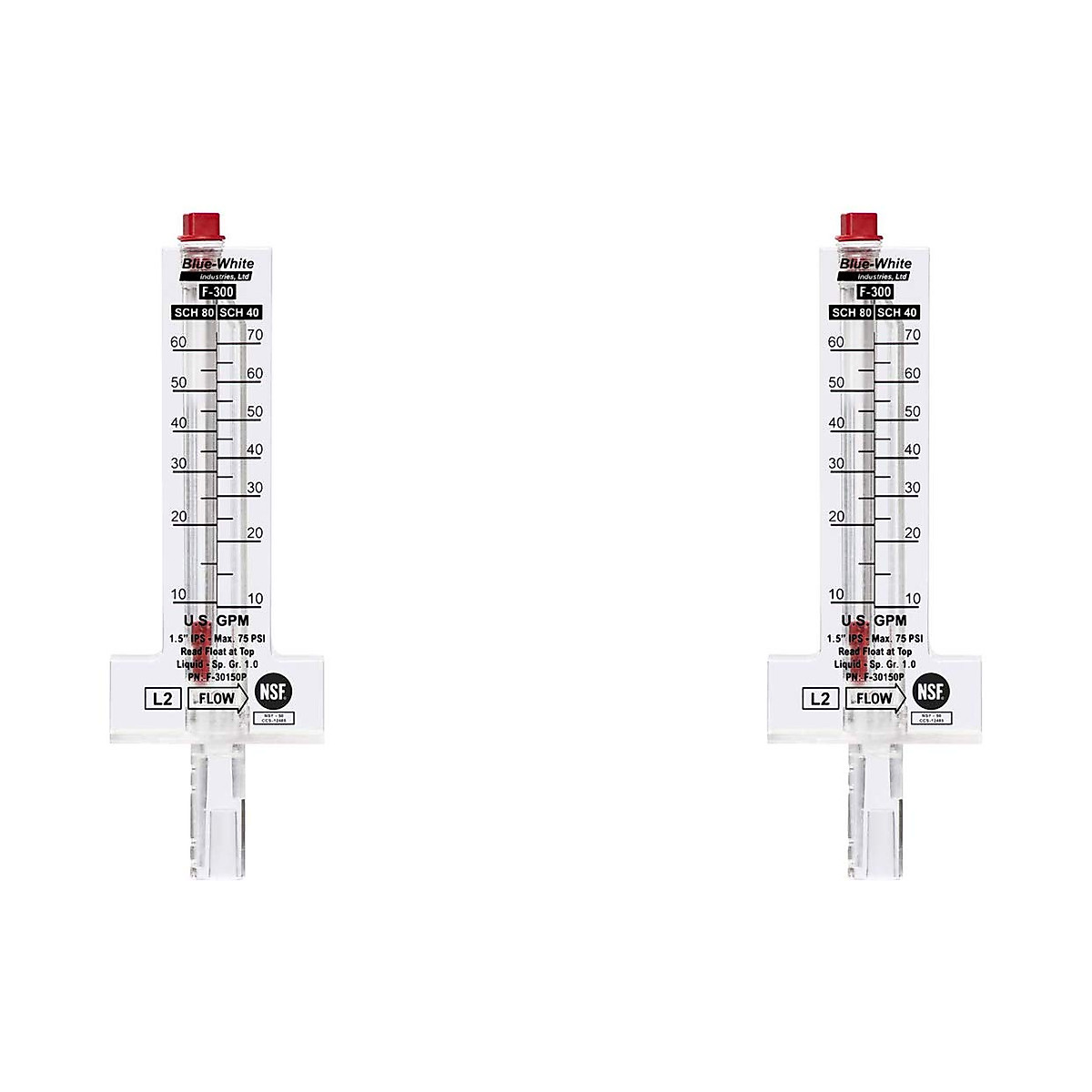 Blue-White F-30200P, Multicolor