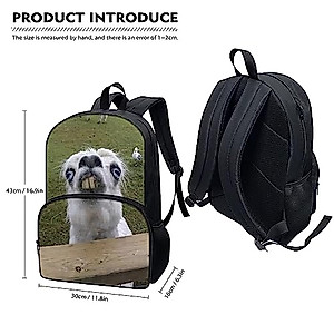 AmzPrint 17 Inch Funny Llama Backpack For Elementary Middle School Alpaca Backpack For Kids Child Back To School As Gift