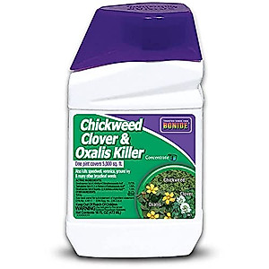 Bonide 061 O7688476 Chemical Chickweed, Clover and Oxalis Killer, 1