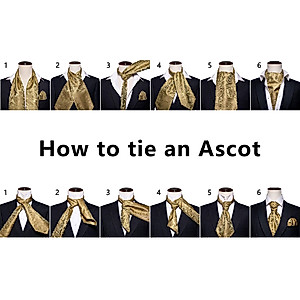 Barry.Wang Men Ascot Tie Set Cravat Paisley Red Silk Scarf Self Necktie Handkerchief Cufflinks Formal Wedding Party Prom