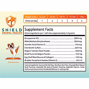 Sheild Animal Health FLEXPLUS for Dog's Hip & Joint. Relieve Pain and Inflammation from Arthritis, Joint Disease, and Muscle Damage. Pharmaceutical Grade.Clinically Proven Absorption.120 Chews. Chicken Flavor. Made in USA