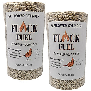 Flock Fuel Safflower Wild Bird Seed Cylinder 2 Pack Bird Seed for Outside Birds