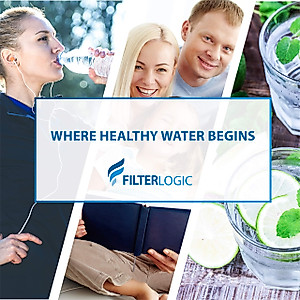 Filterlogic 3US-PF01 Under Sink Water Filter, NSF/ANSI 42 Certified Replacement for Advanced 3US-PF01, 3US-MAX-F01H, 3US-PF01H, Delta RP78702, Manitowoc K-00337, K-00338 (Pack of 2)