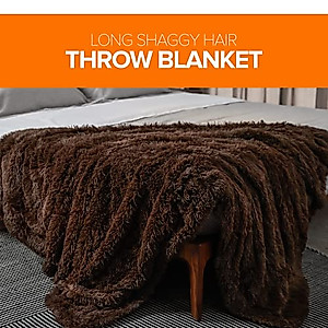 Cheer Collection Long Shaggy Hair Throw Blanket - Ultra Soft and Fuzzy - 50" x 60" inches, Chocolate