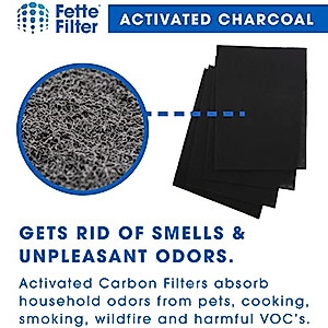 Fette Filter - 115115 Premium True HEPA H13 Filter Compatible with Winix Filter A 115115 Size 21 Plasma Wave Air Purifier AM90 P300 5300 5500 5300-2 6300-2 6300 C909 9800 C535 2 + 8 Pack