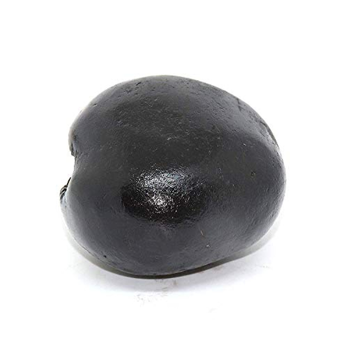 RUDRADIVINE Stone Laxmi Narayan Shaligram (Black)