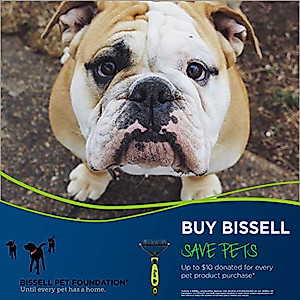 BISSELL FURGET IT Cat and Dog Grooming Brush with Shedding and Dematting, 2064A Green