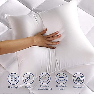 Seward Park Throw Pillow Inserts 20 x 20 in Set of 2 for Couch and Sofa, Soft Fluffy Square Form Down Alternative Cushion Decorative Pillow Inserts