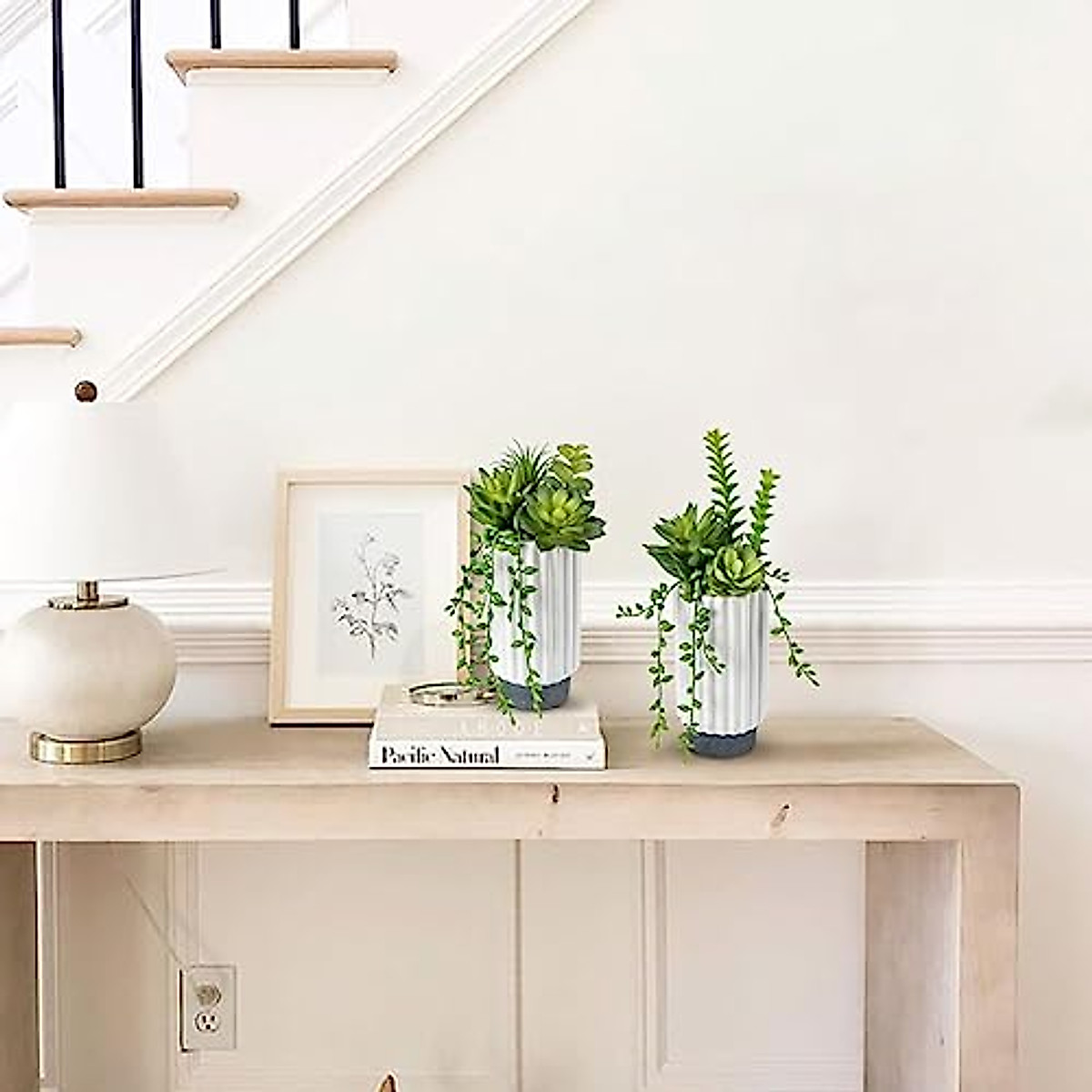 Hollyone Artificial Succulents Plants Set of 2 Faux Succulents 9" Fake Succulent Plants in Ceramic Pot Succulent Plant for Desk Modern Home Living Room Office Table Shelf Bathroom Decor