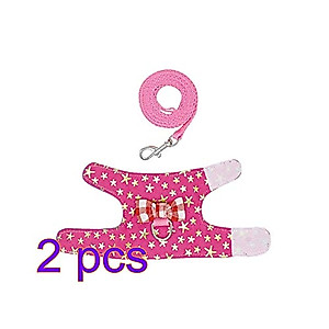 POPETPOP 2Pcs Small Pet Harness with Leash Guinea Pig Rabbit Harness Ferret Hamster Vest Leash Size M (Golden Star)