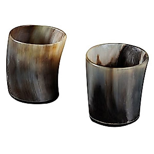 Mythrojan Viking Drinking Horn Shot Glass, Norse Medieval Tankard Shot Glass Pair