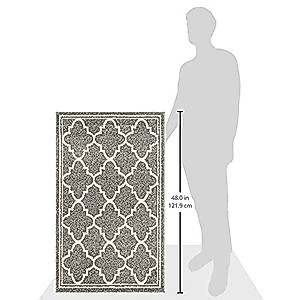 SAFAVIEH Amherst Collection Accent Rug - 2'6" x 4', Dark Grey & Beige, Moroccan Trellis Design, Non-Shedding & Easy Care, Ideal for High Traffic Areas in Entryway, Living Room, Bedroom (AMT422R)