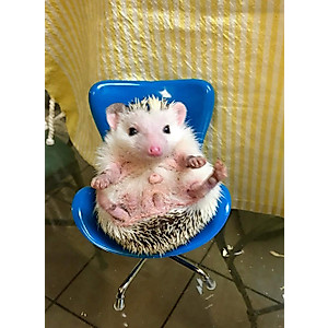 Hedgehog Chair Mini Plastic Swivel Seat Small Animal Toys Habitat Decor Cage Accessories Hedgehog Supplies Photo Props Chair Toy for Hedgehog,Bird,Parrot,Mouse,Chinchilla, Rat,Gerbil,Dwarf Hamster