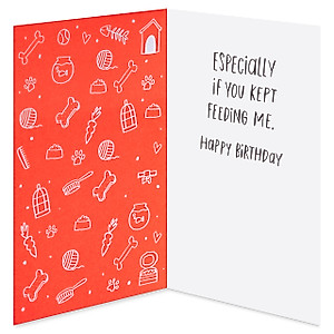 American Greetings Funny Birthday Card from Pet (We'd Still Be Good Friends)
