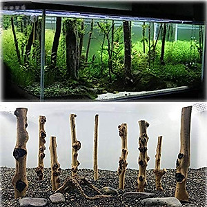 Tfwadmx Aquarium Driftwood Natural Forest Branch Trees Terrarium Wood Tree Reptile Branches Ornament Habitat Fish Tank Decoration(4 Pcs)