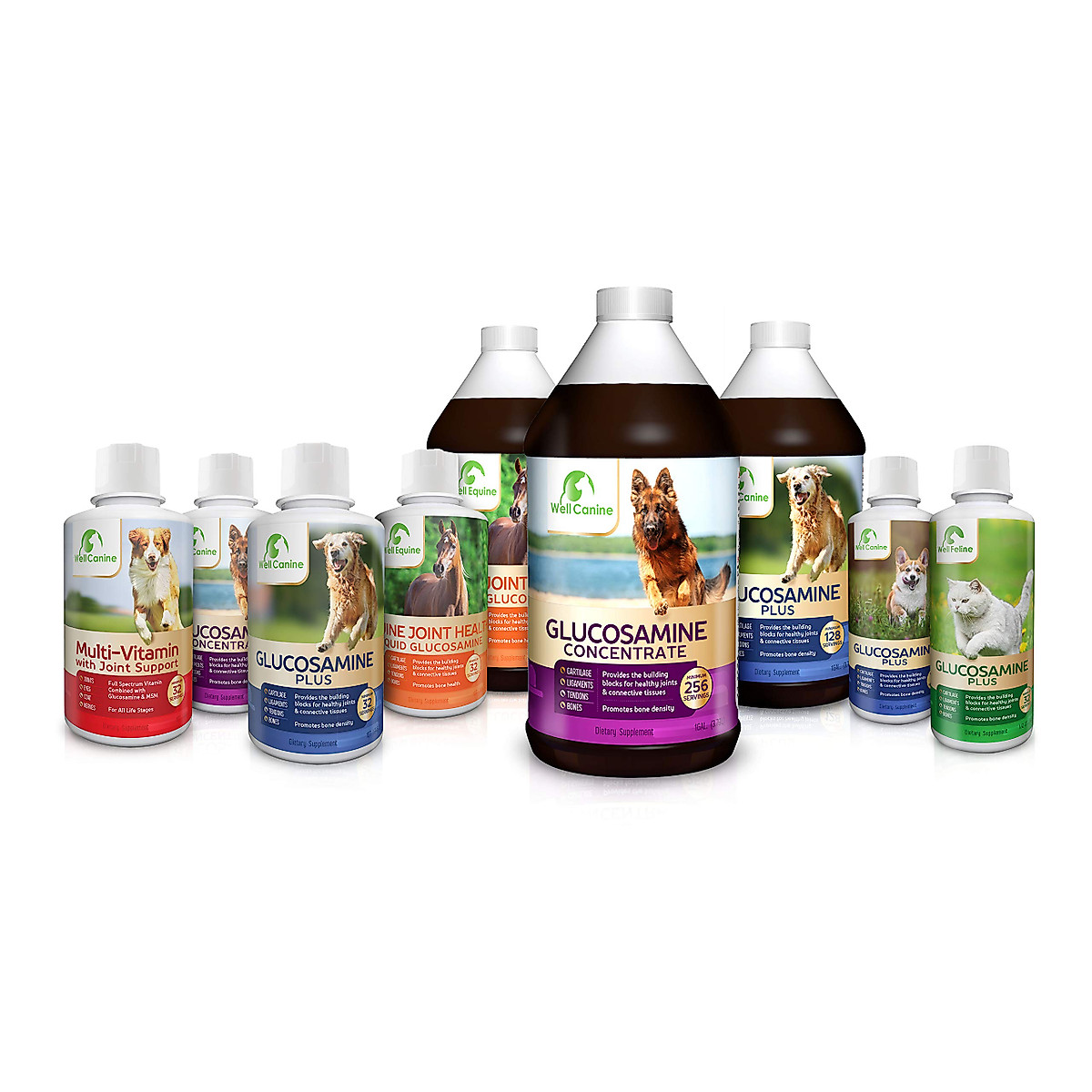 Equine Joint Health Supplement | Liquid Horse Glucosamine with MSM, Chondroitin and Hyaluronic Acid | Highly Effective Liquid Horse Joint Supplement | 1qt