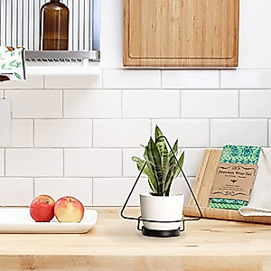 JOFAMY Hanging Planters for Christmas Plants with 3 White Plastic Planters, Wall Hanging Basket Metal Plant Hangers, Window Plant Hanger with Hook and String, Modern Outdoor Wall Planter