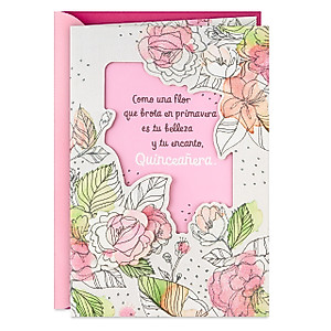 Hallmark Vida Quinceanera Birthday Card (Como una Flor)
