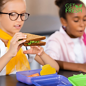 GET FRESH Mini Freezer Ice Packs for Lunch Boxes - 4-Pack Cute Small Ice Blocks for Cool Bags and Kids Lunch Box – Reusable Animal Freezer Blocks for Kids Lunch Cool Boxes Bags with 10 Food Picks