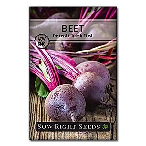 Sow Right Seeds - Detroit Dark Red Beet Seed for Planting - Non-GMO Heirloom Packet with Instructions to Plant a Home Vegetable Garden - Great Gardening Gift (1)