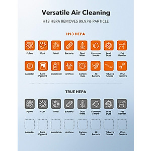 AP006 HEPA Replacement Filters Compatible with White Black AP006 Air Purifiers, 3-in-1 H13 True HEPA with Activated Carbon Pre-Filter
