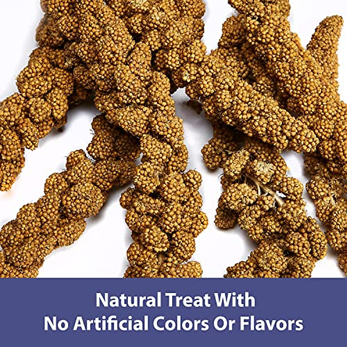 Kaytee Spray Millet Treat for Pet Birds, 7 Ounce