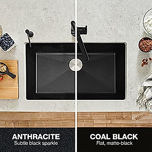 BLANCO Performa Kitchen Sink, Coal Black
