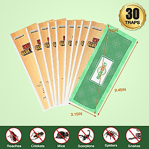 30 PCS Cricket Traps Indoor for Trapping Insects, Mice, Spiders, Bugs, Crickets, Scorpions, Roaches, Super Sticky & Non-Toxic Glue Board Pre-Baited with Fruity Scent Attractant - 9.5 x 3.15 in