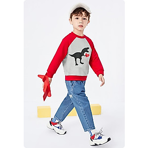 Little Hand Toddler Boys Valentine's Day Clothes Dinosaur Sweatshirt Pullover Long Sleeve Shirts 3t