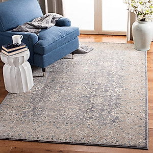 SAFAVIEH Sofia Collection 3' x 5' Light Grey/Beige SOF330B Vintage Oriental Distressed Non-Shedding Living Room Bedroom Accent Rug