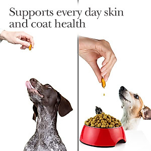 Nutri-Vet Fish Oil Supplements for Dogs - Skin and Coat Omega 3 Supplement - Dog Dry Skin & Dog Shedding Support - 100 Count Softgels
