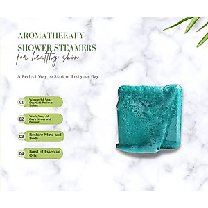 Shower Steamers - Set of 9 Shower Bombs with Essential Oils - Eucalyptus 65 gr Each (Box)