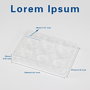 BIPEE Polystyrene Petri Dish 6 Well Cell Culture Plate, Sterile, Pack of 10