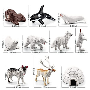 NatureMan Mini Arctic Animals Toys Set 10PCS Polar Animal Figurines Toy Play setIncludes Polar Bear Seal Reindeer Wolf Rabbit Arctic Fox Igloo for ToddlersBirthdayGift