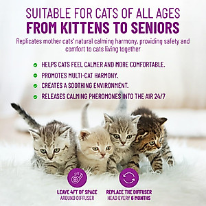 ETEVIVO Cat Pheromones Calming Diffuser Cat Anxiety Relief Pheromones for Cats Promotes Well-Being & Comfort Cat Calming Diffuser with 2 Refills 60 Days Long Lasting Serenity