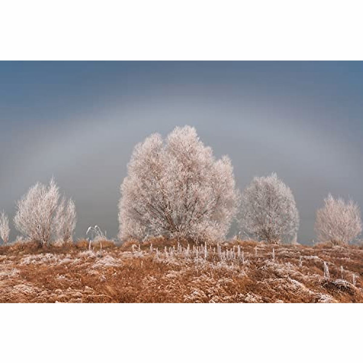 Sony E-mount FE 24mm F1.4 GM Full Frame Wide-angle Prime Lens (SEL24F14GM), Black