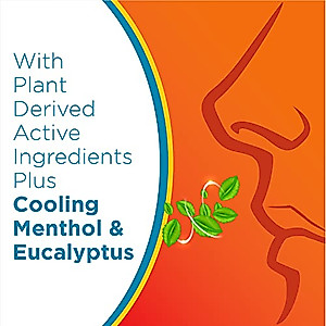 Zicam Cold Remedy Nasal Swabs with Cooling Menthol & Eucalyptus, 20 Count (Pack of 1)