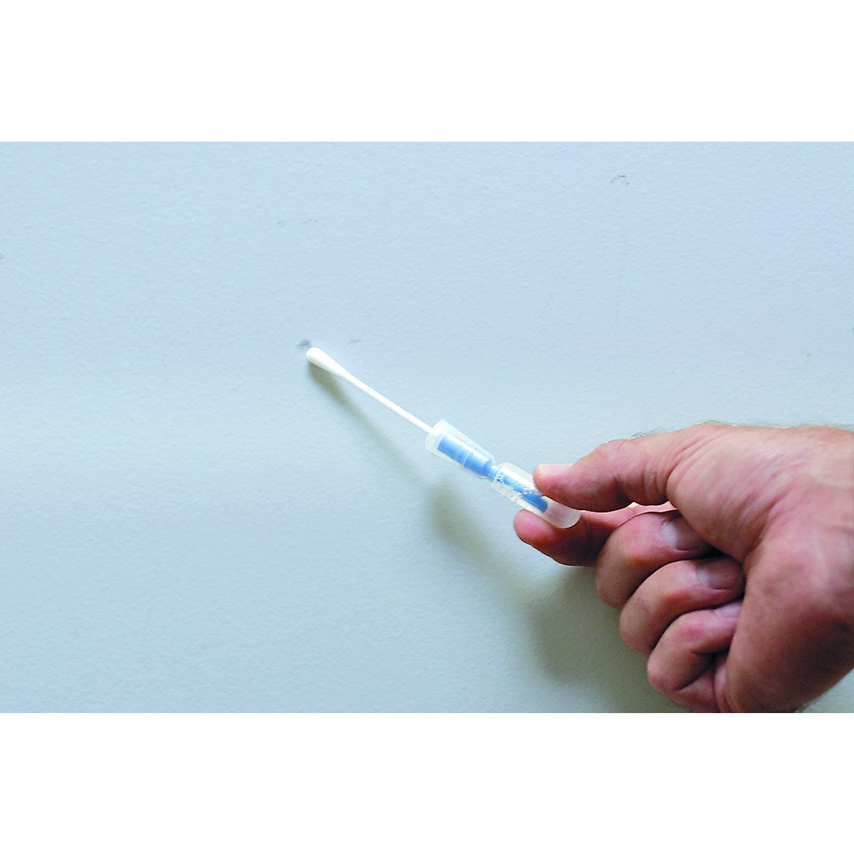 Healthful Home 5-Minute Mold Test