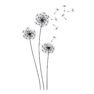 RoomMates RMK2606GM Whimsical Dandelion Peel and Stick Giant Wall Decals
