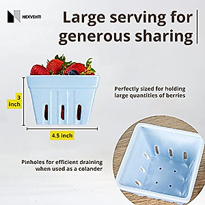 NEXVENTI Ceramic Berry Basket Bowl (Set of 4) | Strawberry Fruit Containers for Fridge | Square Fruit Bowl Farmers Market Harvest Basket | Berry Colander Glass Keeper Stoneware Kitchen Décor (Combi 2)