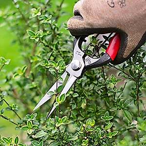 RANSHOU Japanese Garden Shears 7.8” Made in JAPAN, Professional Garden Scissors for Gardening, Harvesting, Bonsai, Ikebana, Hand Forged Japanese Steel Blade, Non-Slip Red