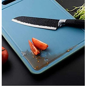 Defrosting Tray - 2-in-1 Meat Thaw Mat and Cutting Board - Groove Tray - Non-Stick Thawing Plate - Meat Cutting Board - No Heat Miracle Thaw - Compact - Knife Sharpener, Zester - Green/Blue