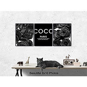 Motivational Inspirational Quote Set - Glam Wall Decor Artwork - Fashion Design Home Art - Bedroom, Living Room, Bathroom, Office - Luxury Gift for Women, Fashionista - Black Roses Set - UNFRAMED