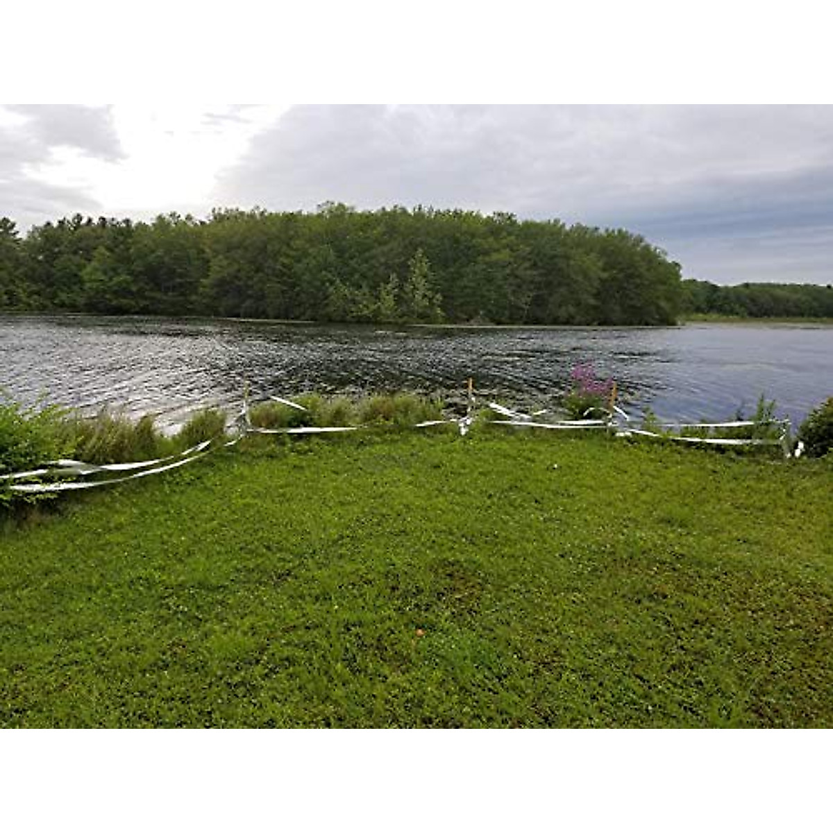 GOETOR Bird Scare Tape Ribbon Flash Double Sided Reflective Ribbon 298 Feet