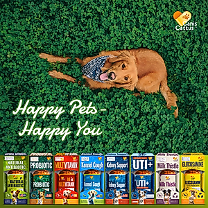 Antibiotics for Dogs | Cat Antibiotic | Pet Antibiotic | Natural Antibiotics for Cats | Dog Antibiotic | Natural Antibiotic for Dogs | Antibiotic for Cats | 2 Oz