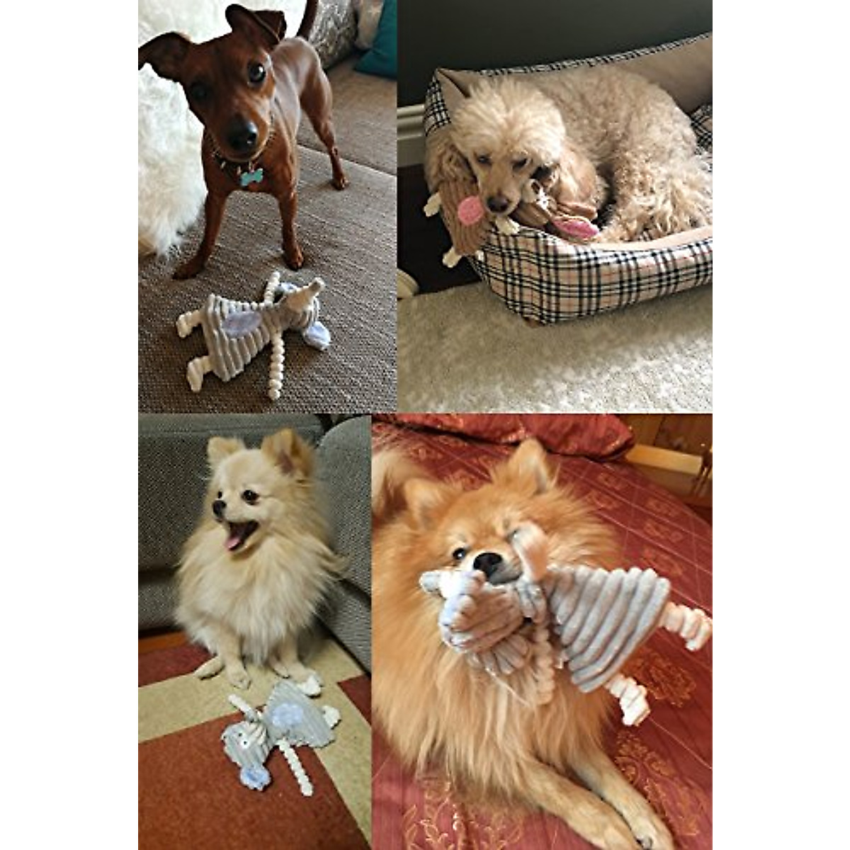 Comtim No Stuffing Dog Toys with Squeaker, Durable Dog chew Toys No Stuffing Squeaky Dog Toys for Small Dogs and Puppies, Rabbit & Elephant